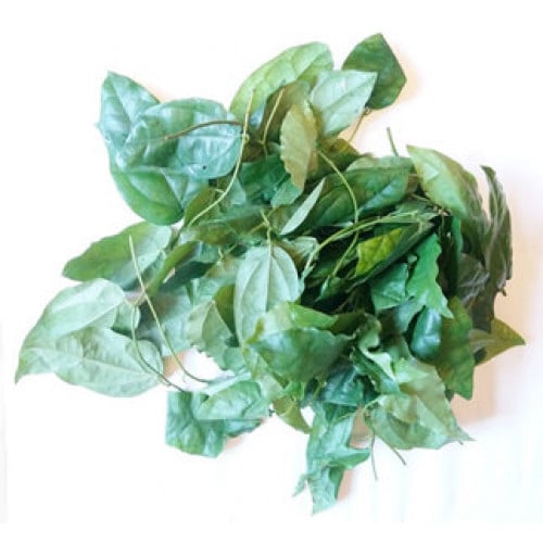 Sak Tree Leaf-Yanang Leaves
